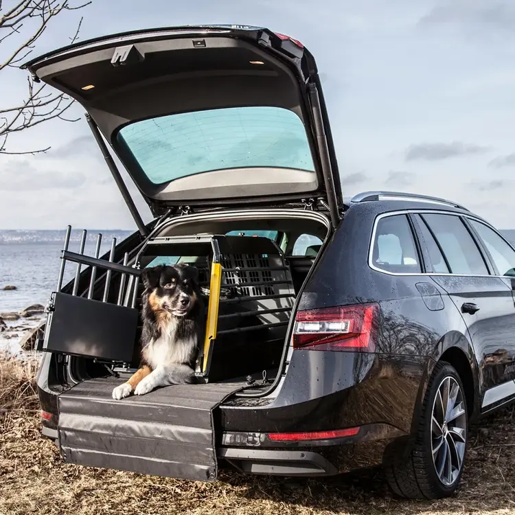 Hundbur: Köpguide & bäst i test 2025